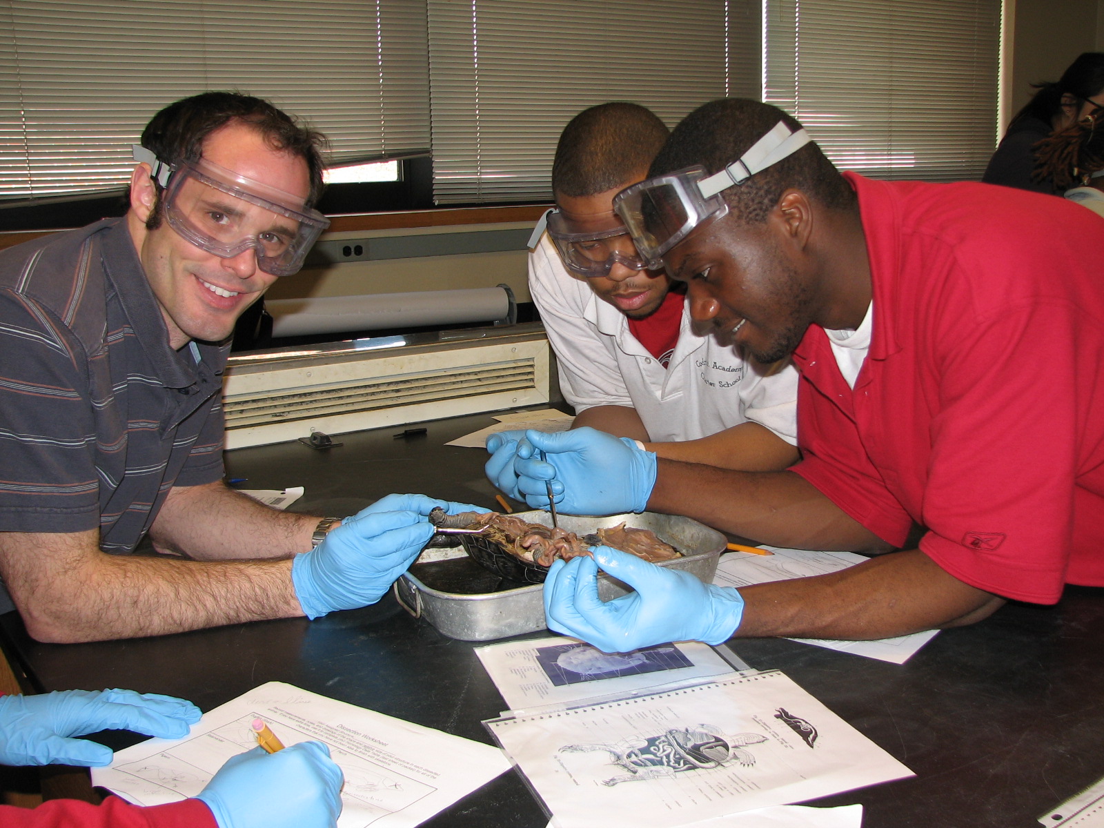 LERNet | BIOBUGS: Anatomy Gallery