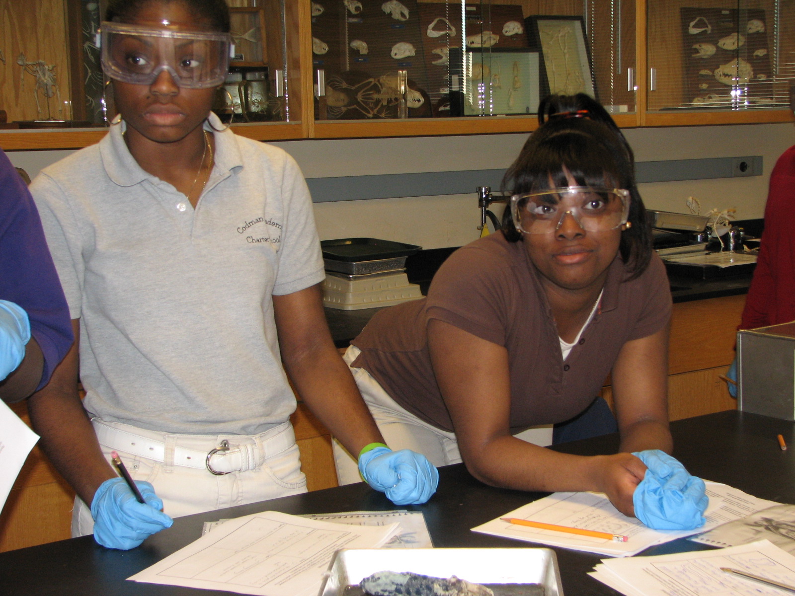 LERNet | BIOBUGS: Anatomy Gallery