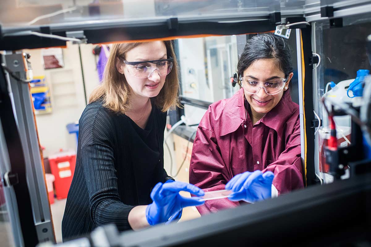 Dr. Catherine Klapperich’s Research Featured in BU Research | Molecular Biology, Cell Biology ...