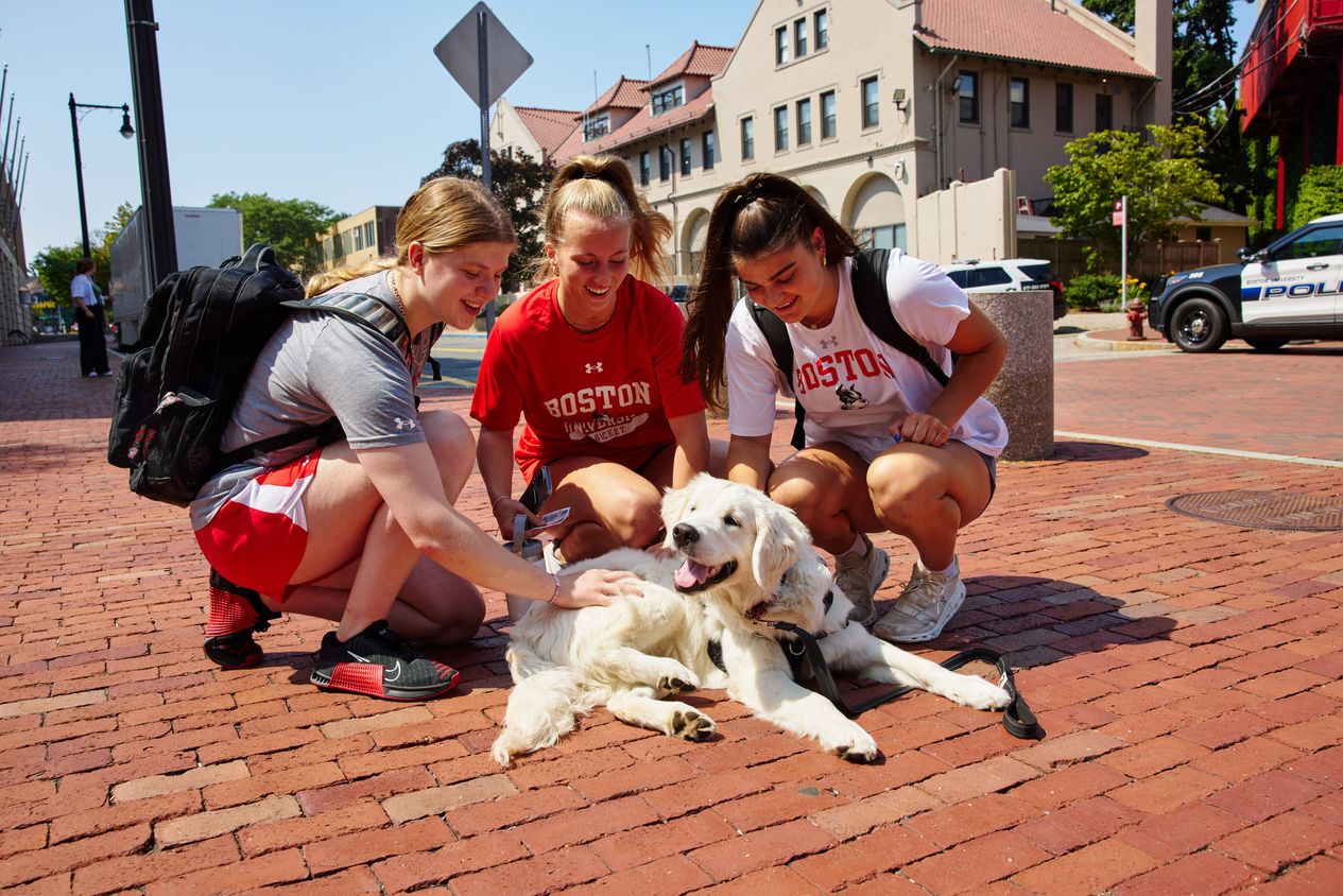 Community Resource Dog | Police Department