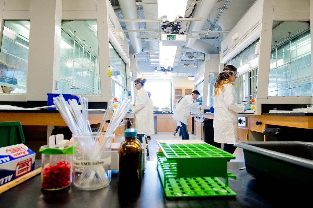 Research Occupational Health Program | Office of Research