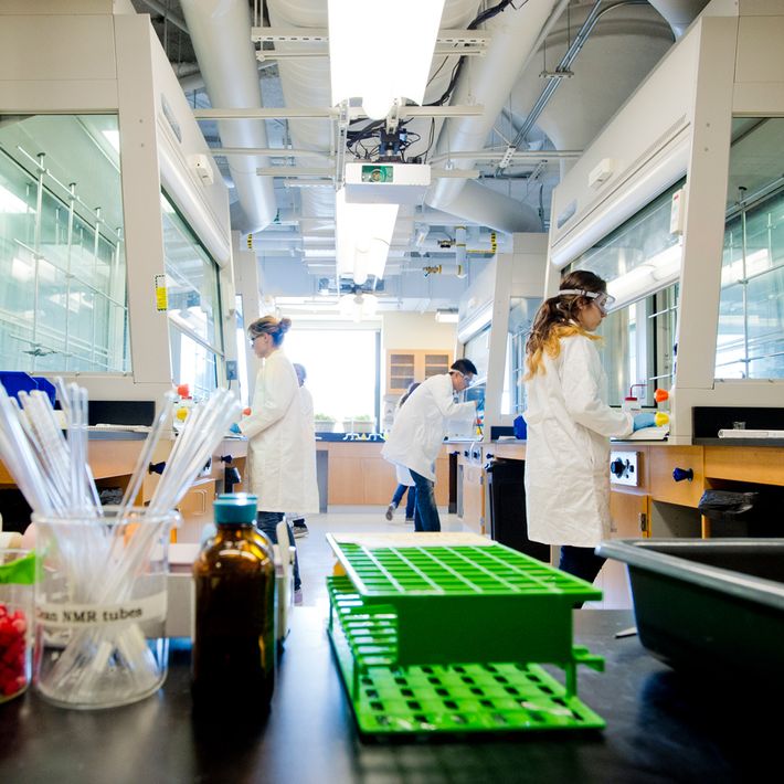 Postdocs | Office of Research
