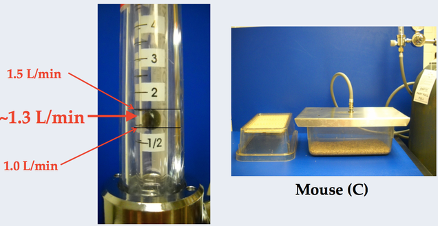 Carbon Dioxide Euthanasia for Rats and Mice (BU ASC Guidelines ...