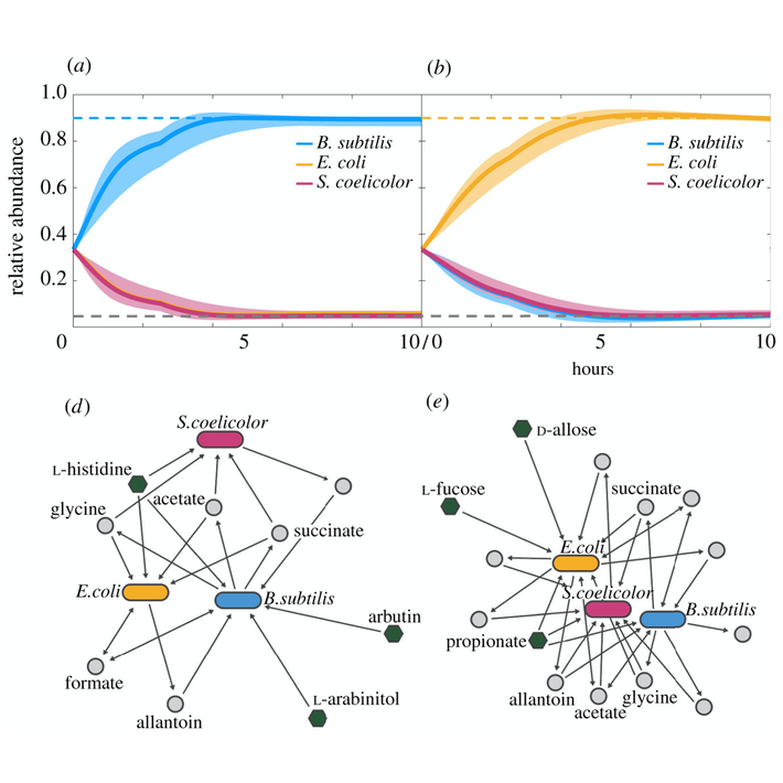 Research | Daniel Segrè Lab