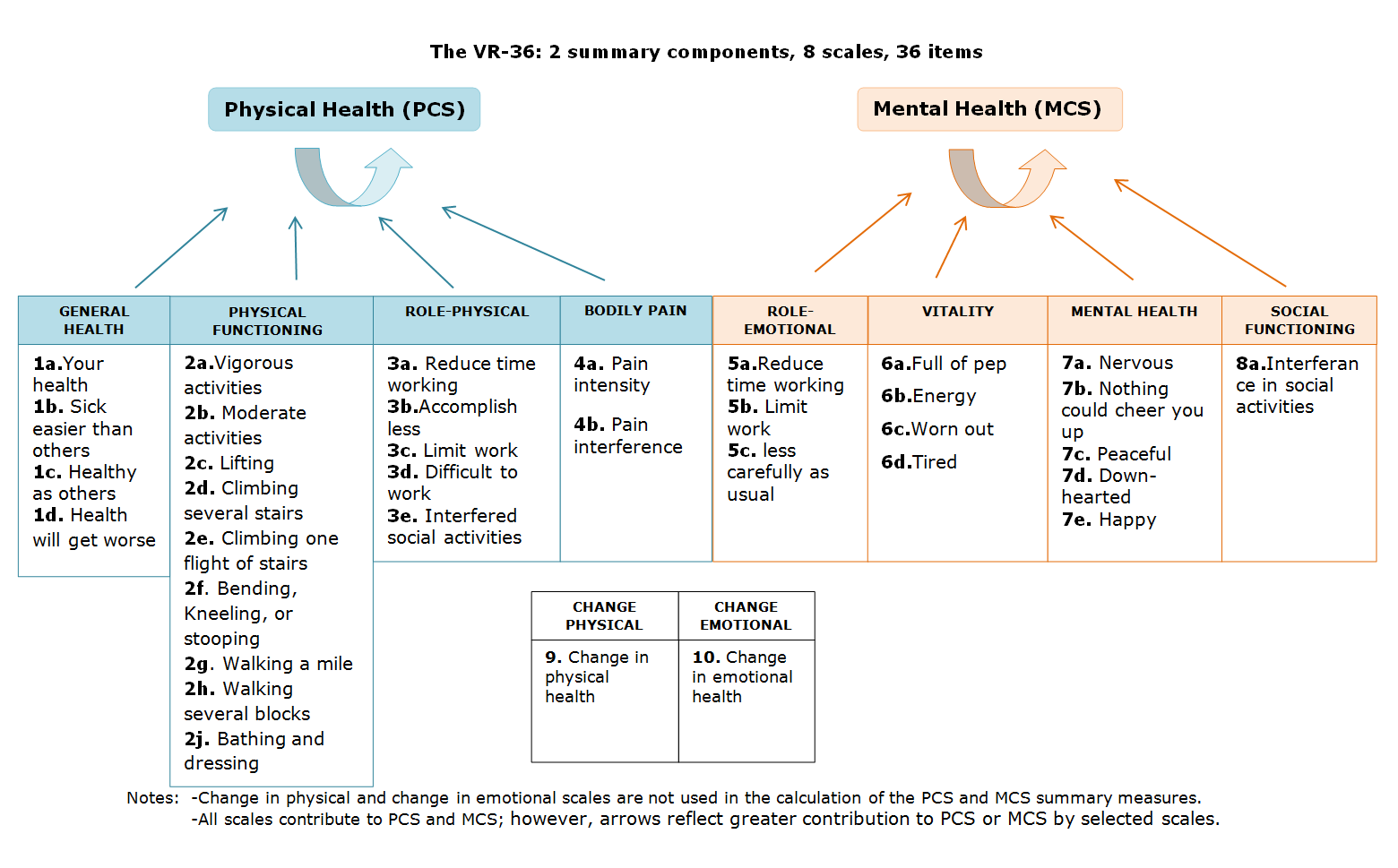About the VR-36©, VR-12 and VR-6D » | Boston University
