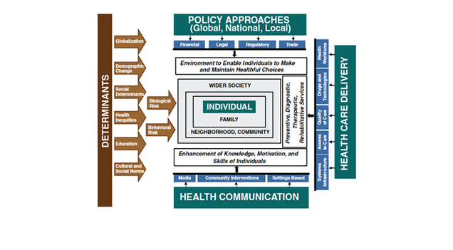The Determination of Health Across the Life Course and Across Levels of ...