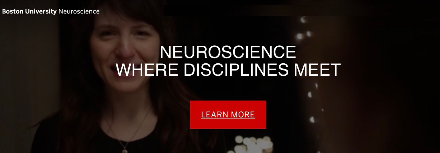 Spotlight Archive 03: Neuroscience Writing Plan (July 2022) | Teaching ...