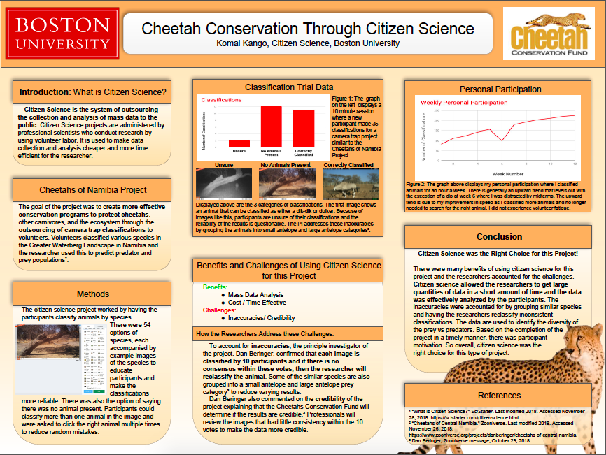 Cheetah Conservation Through Citizen Science | Writing Program